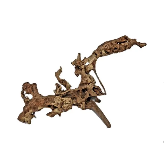 Cumpara - Radacina Coral Wood