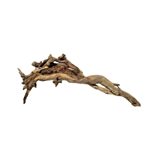 Cumpara - Radacina Coral Wood